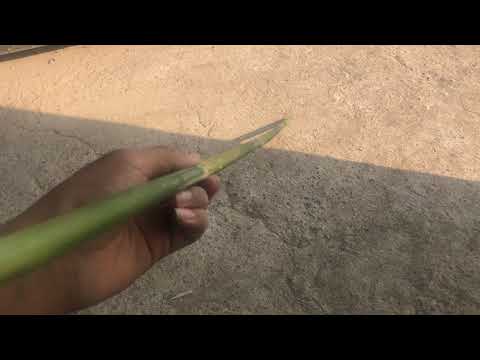 Cara Membuat Bambu Runcing Sederhana - YouTube