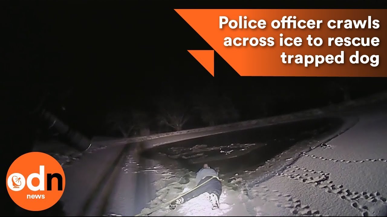 Police officer crawls across ice to rescue trapped dog - YouTube