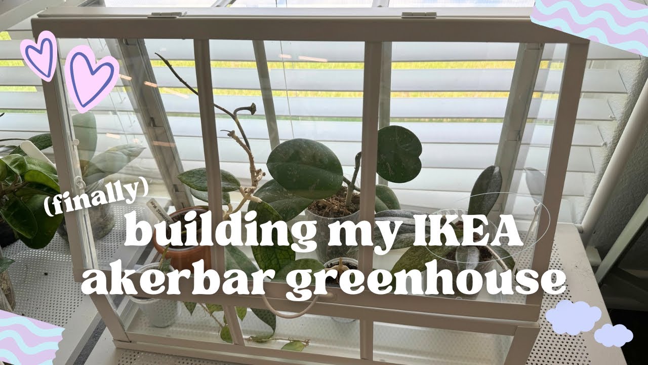 Putting Together & Styling the IKEA Akerbar Greenhouse 🔨 - YouTube