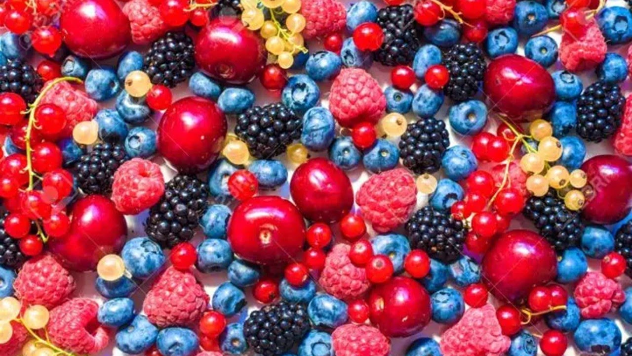 ¿Qué son las BAYAS? - YouTube