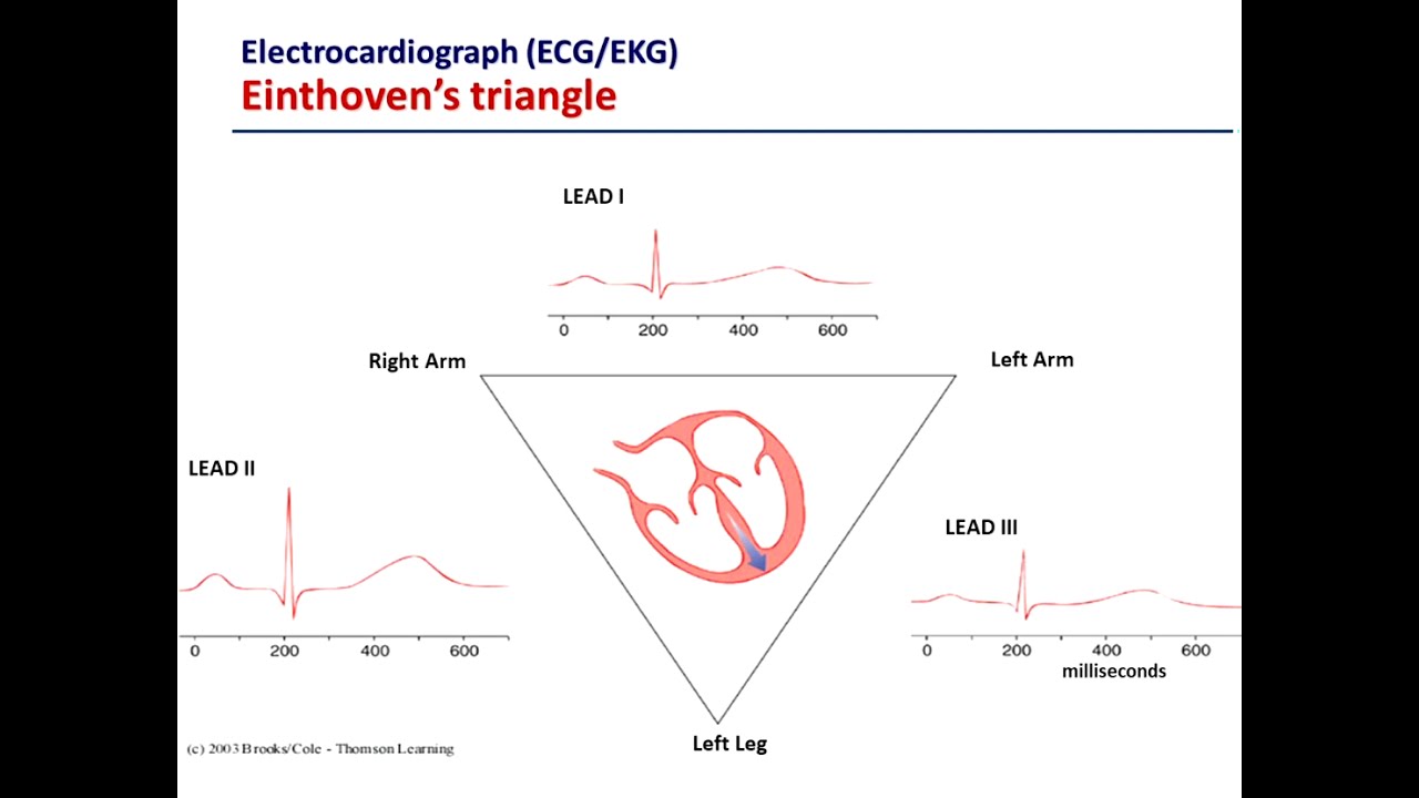 ECG Lab - Principles of ECG (Dr Brian Carson) - YouTube