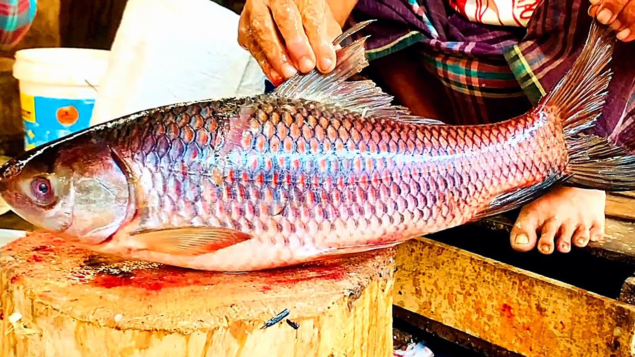 Fastest Big Rohu Fish | Giant Rohu Fish Cutting Skills | Live Rohu Fish ...