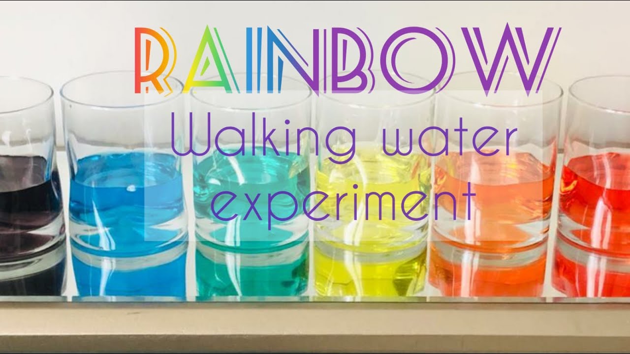Walking water experiment/Rainbow/Kids/Try at home-Episode 4 - YouTube
