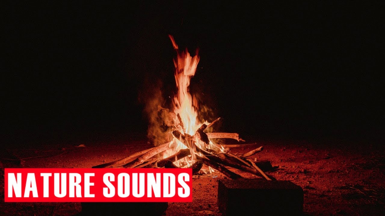 crackling fire and birds chirping 1 hour - YouTube