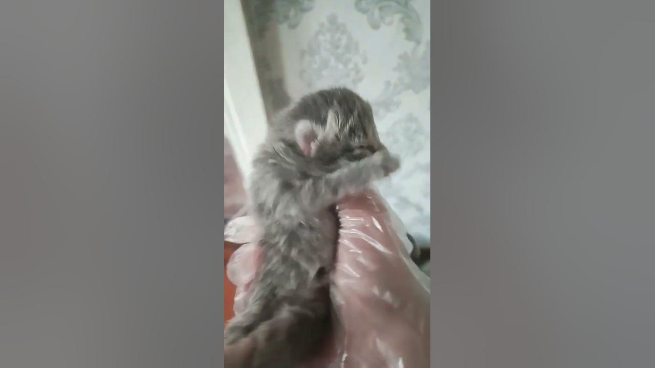 3 марта 2025 г. - YouTube