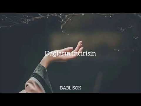 Dar Hejiroke - Aynur Doğan (Türkçe Çeviri)