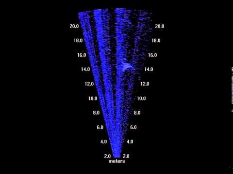 The use of dual-frequency sonar to survey manta rays - YouTube