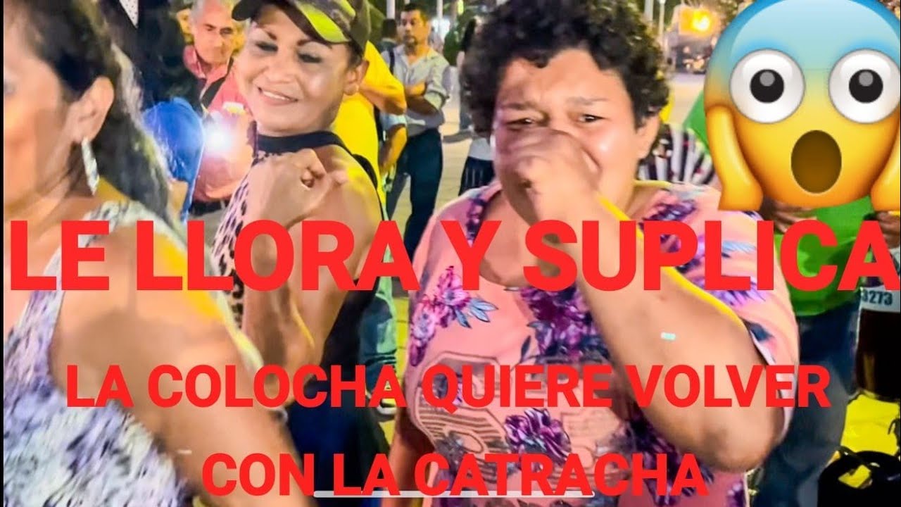 😱😭🤯LA COLOCHA LLORA LE PIDE UNA OPORTUNIDAD A LA CATRACHA QUIERE ...