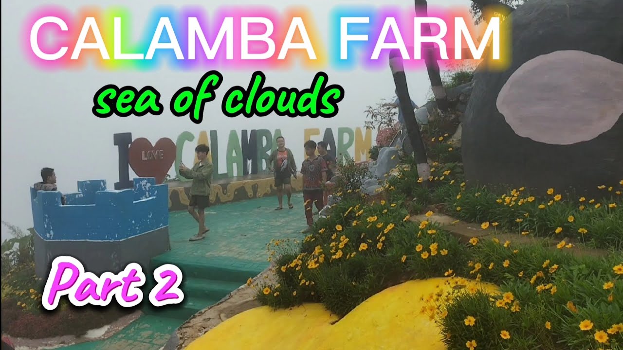 CALAMBA FARM SEA OF CLOUDS PART 2 - YouTube