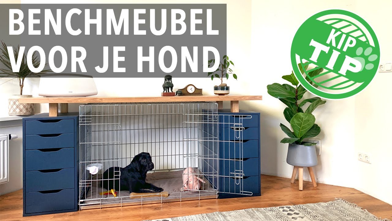 Een bench meubel maken voor je hond - Kip Tip #2 - YouTube