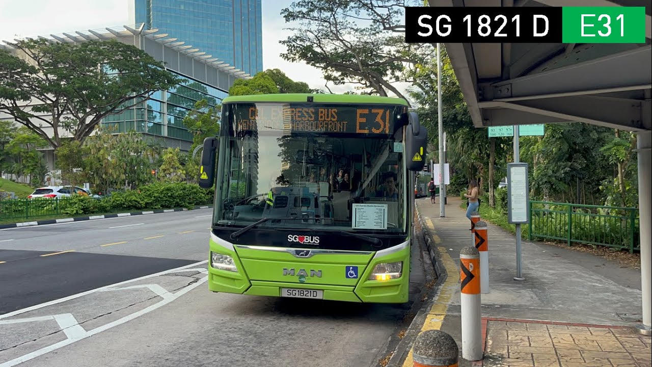 Retired | Tower Transit Singapore: SG1821D on E31 - YouTube