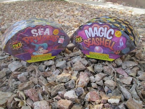 TNT Sea Princess and TNT Magic Seashell are the same fountain! - YouTube