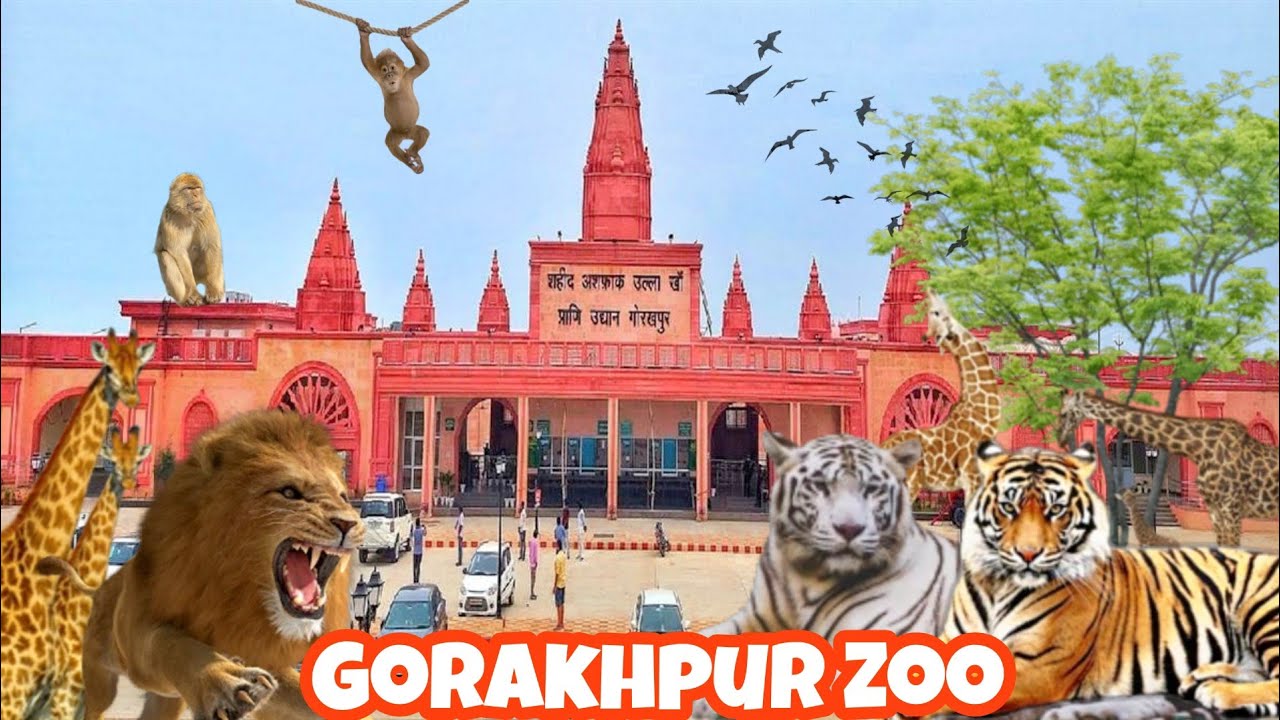 Gorakhpur Zoo Me Ye Kaun Sa Animal Hai | Wild Animals In Zoo | Zoo ...