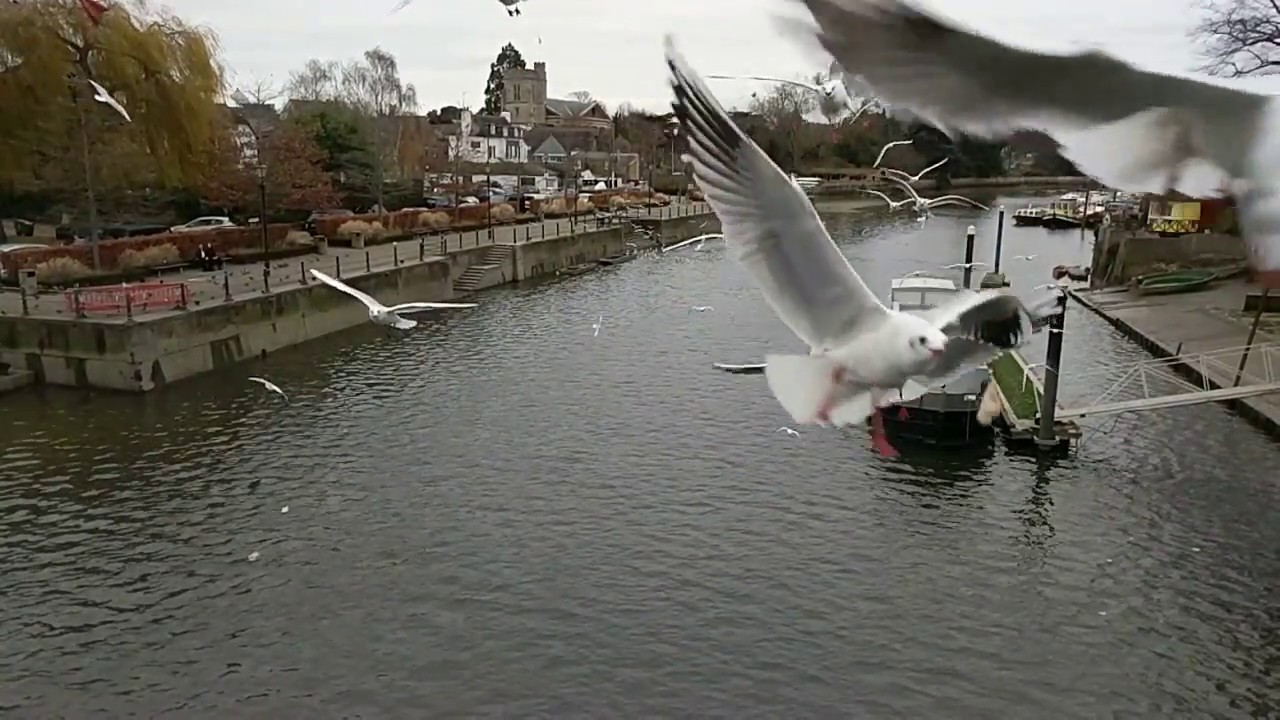 Another grey December day - YouTube