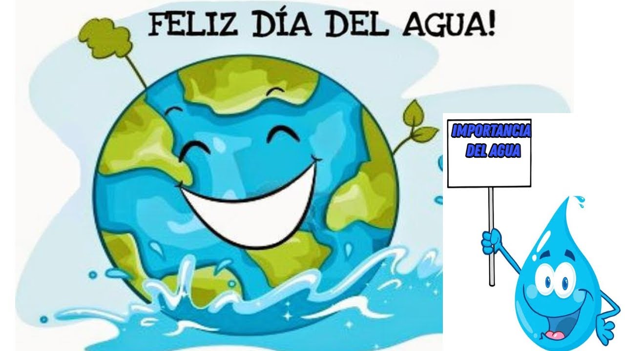 LA IMPORTANCIA DEL AGUA/ VIDEO EDUCATIVO PARA NIÑOS - YouTube