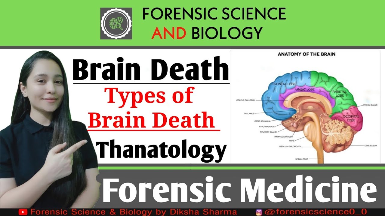 Brain Death & Types of Brain Death - YouTube