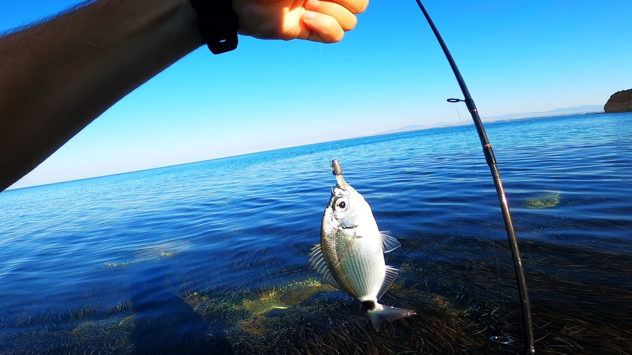 Ψάρεμα Lrf στη Χαλκιδική🐟 & ο μεγάλος ΛΟΥΤΣΟΣ στο Spinning🎣. - YouTube