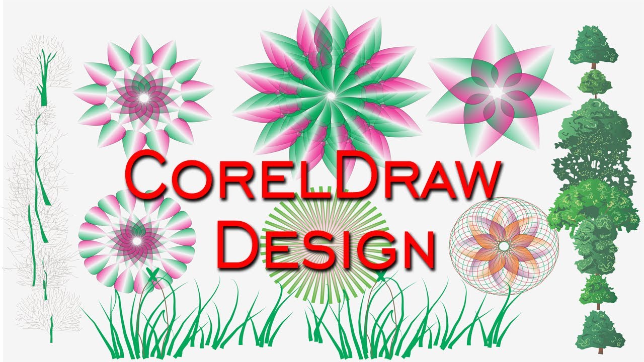 Coreldraw Full Tutorial For Beginners coreldraw design. - YouTube