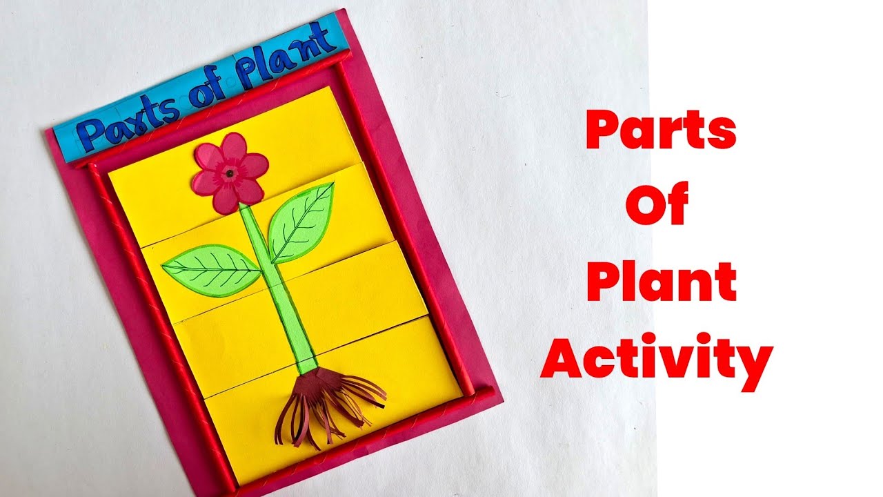 Parts of Plants Science Activity| Science Tlm| parts of Plants Science ...