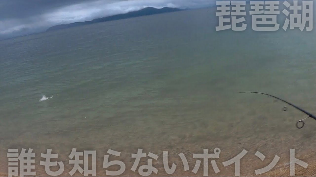 【琵琶湖おかっぱり】自分だけのシークレットポイントを開拓してみた結果 - YouTube