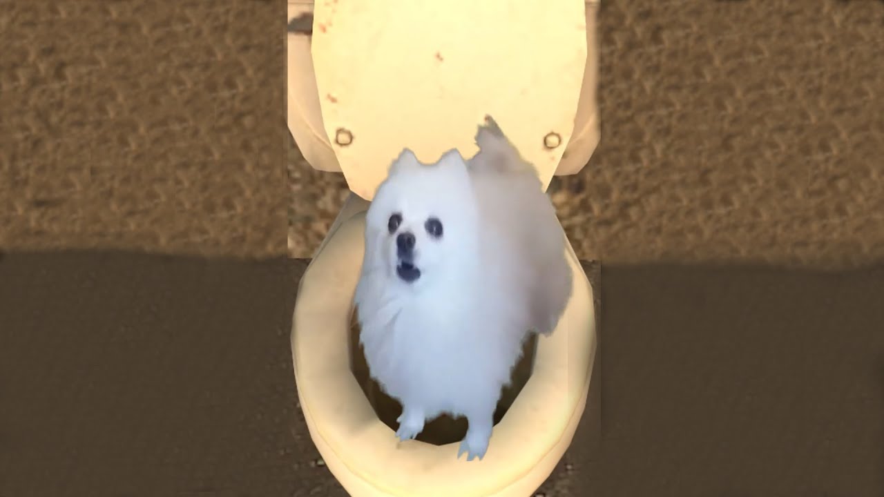 Skibidi Dog Toilet 12 - YouTube