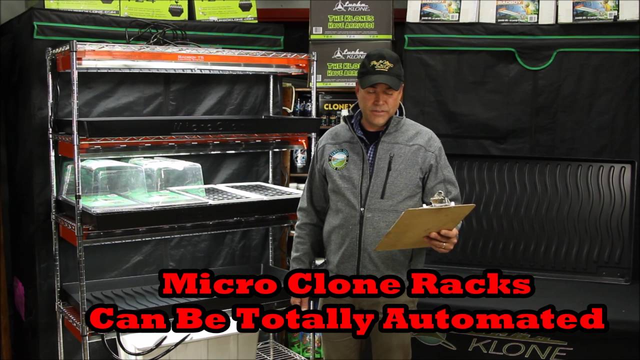 Microclone Rack growing and cloning trays-most efficient automatic ...