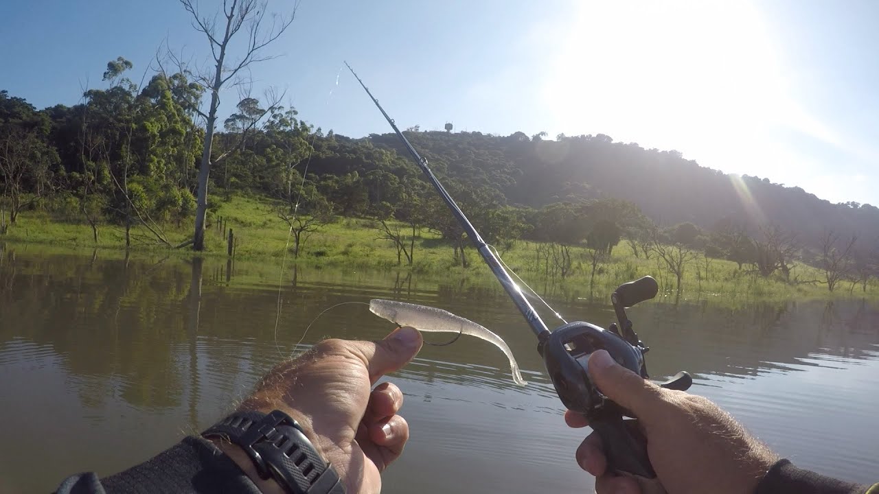 INSANE Topwater Bass Fishing at Hazelmere Dam, South Africa. - YouTube