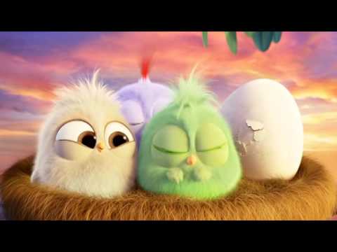 ANGRY BIRDS - SALUDO POLLUELOS DÍA DE LA MADRE - YouTube