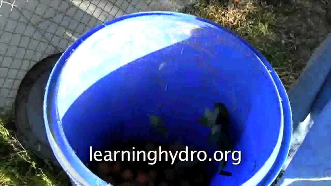 Cheap DIY composter -- recycle an empty drum to make a worm bin - YouTube