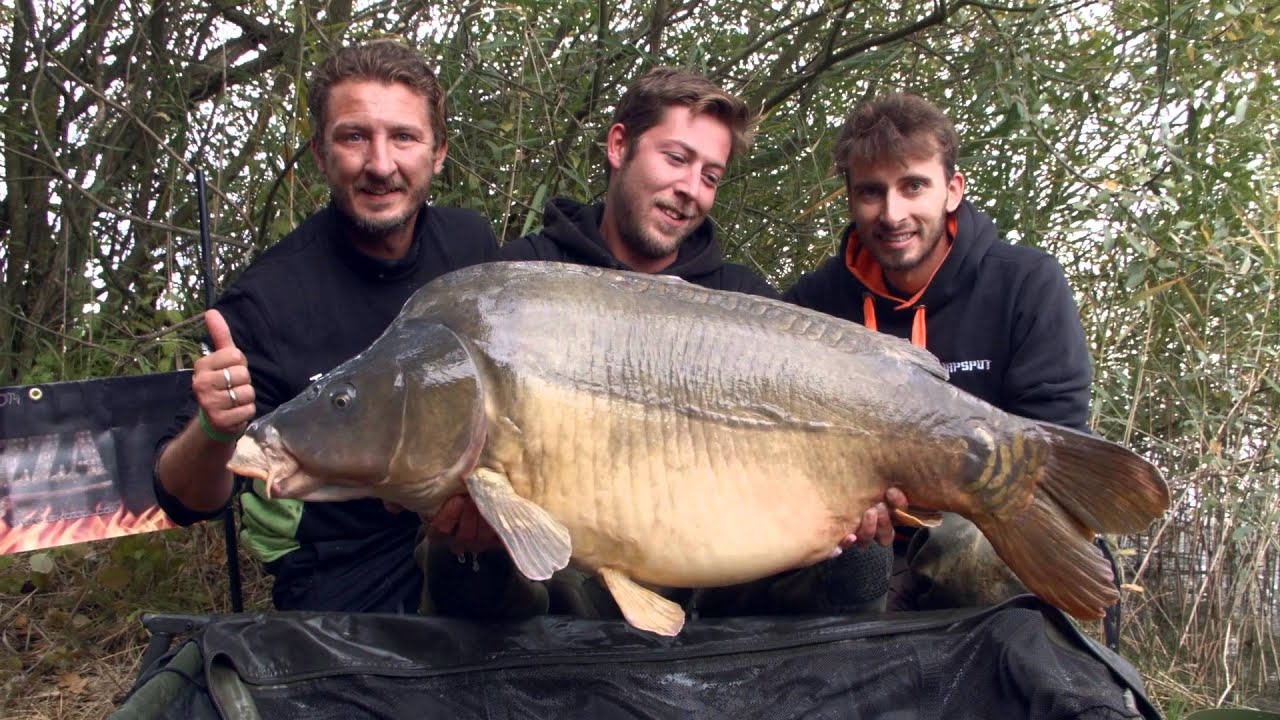 World Carp Classic 2015 - Biggest Fish - part 1/ Pêche à la carpe lac ...