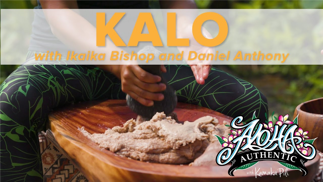 Kalo | Aloha Authentic Episode 12 - YouTube