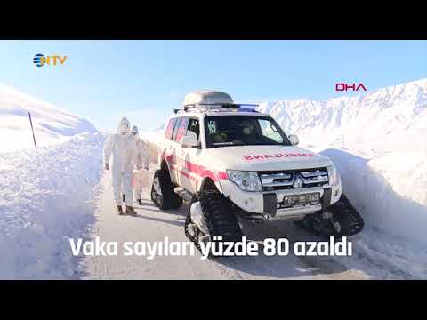 NTV | Metrelerce karda filyasyon