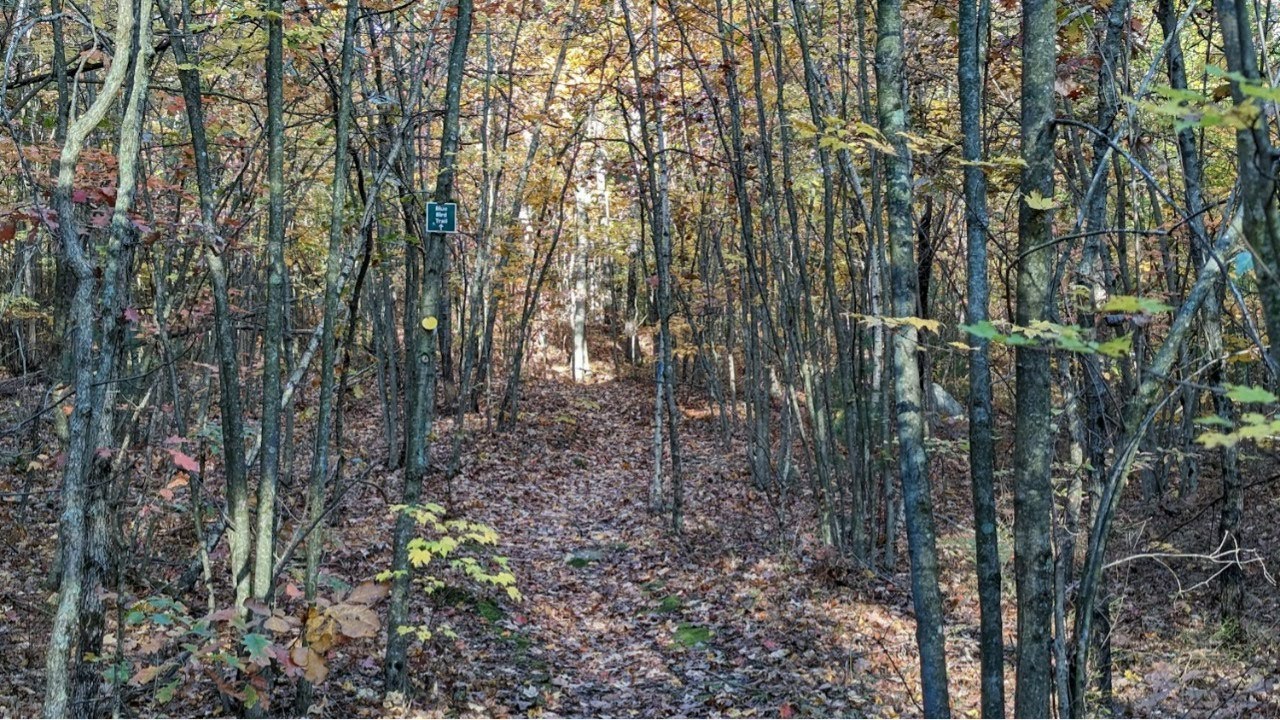 R. Wayne Steiger channel World Peace☮️Unity day & Shadow👤People talk ...