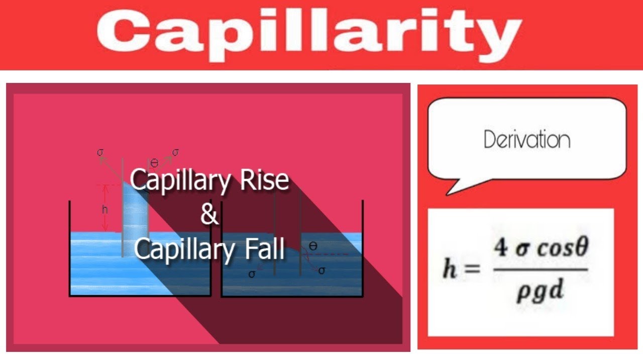 LEC 11 || Capillary Effect || Expression for capillary rise and fall in ...