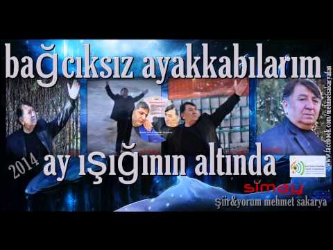 MEHMET SAKARYA AY IŞIĞININ ALTINDA 2014