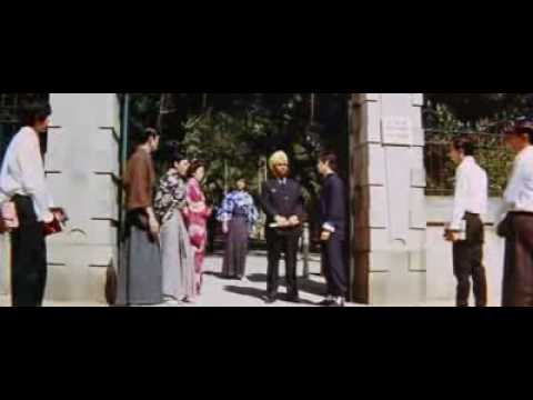 No dogs and Chinese allowed. Seriously..flv - YouTube