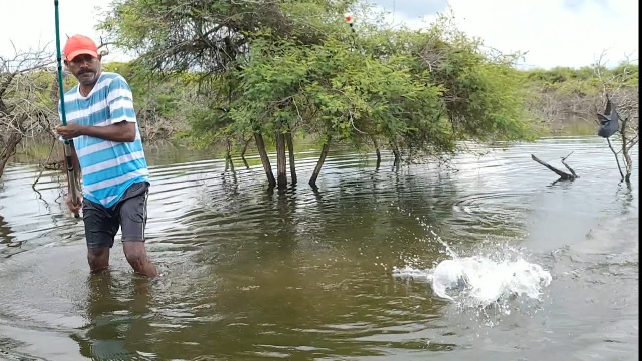 Awsome fishing|Fish hunting Catching Black rohu to catch with Singal ...