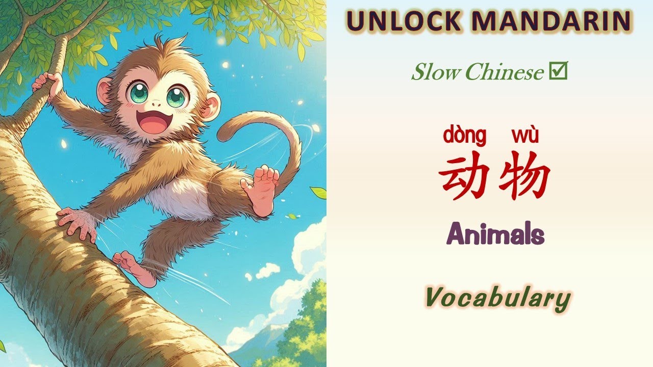 动物|Animals|Chinese Vocabulary|Slow Chinese|Mandarin Phrases |Unlock ...