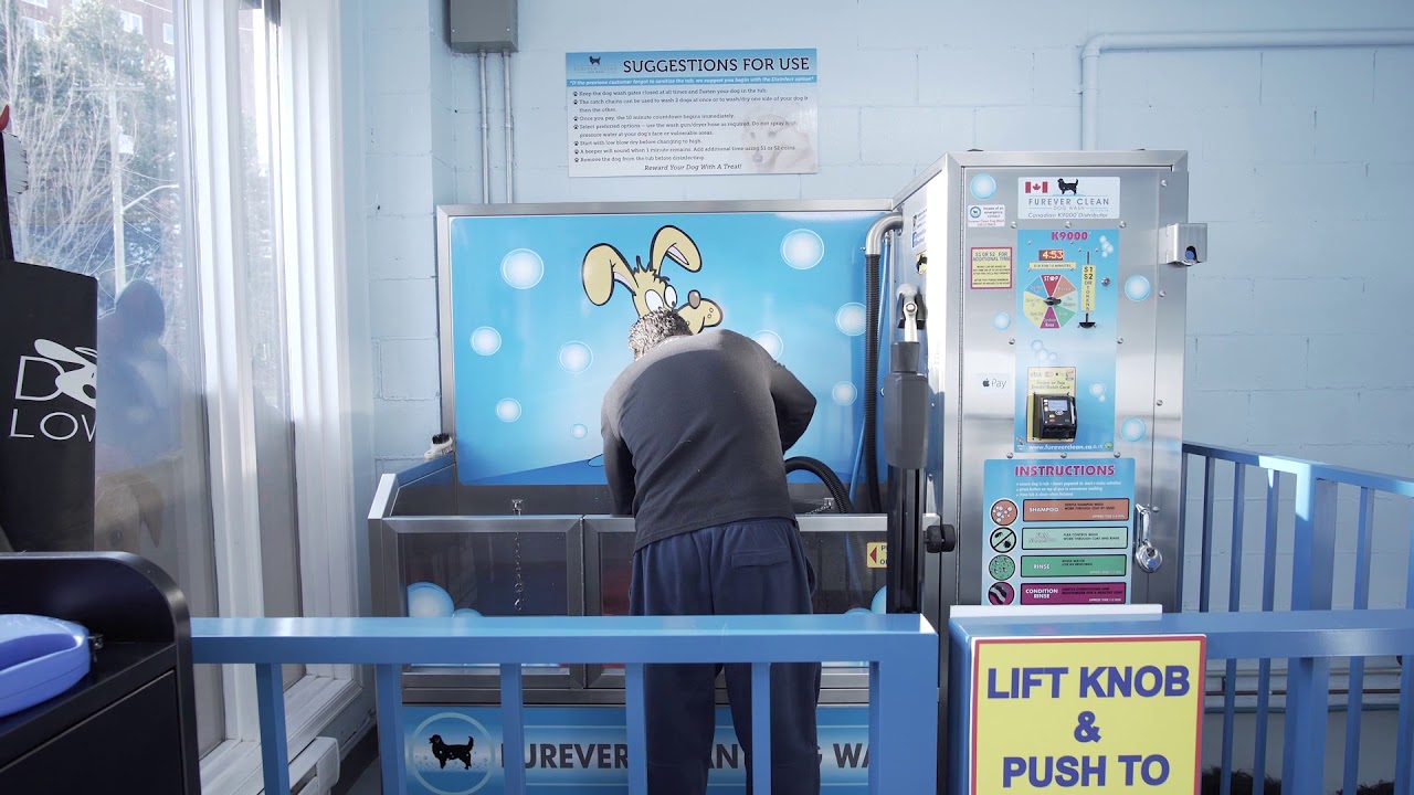 K9000 - Furever Clean Dog Wash experience - Canada - YouTube