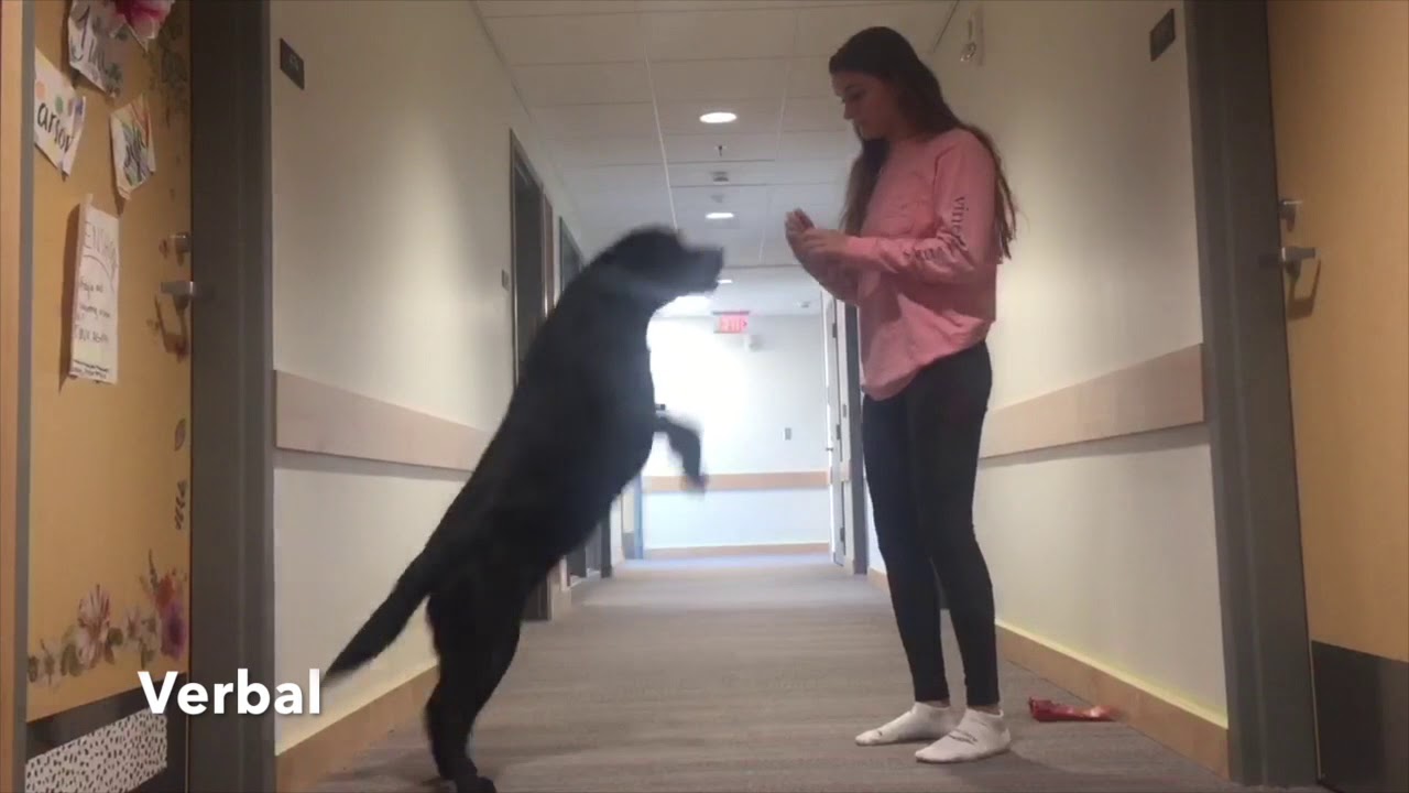 Animal Behavior Project - Tubbie - YouTube