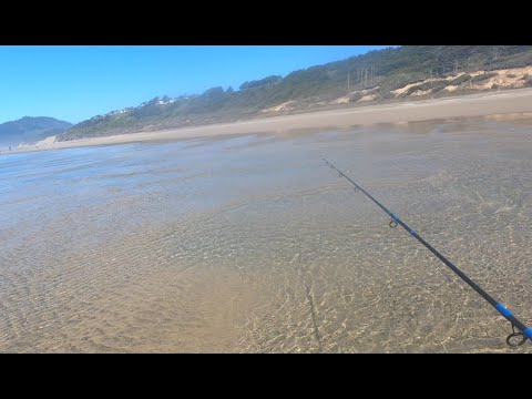 Oregon Surf Perch Fishing Club April 28 2023 - YouTube