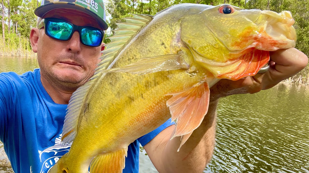 My fish are STARVING to death!!! Massive Ranch Overhaul!!! - YouTube