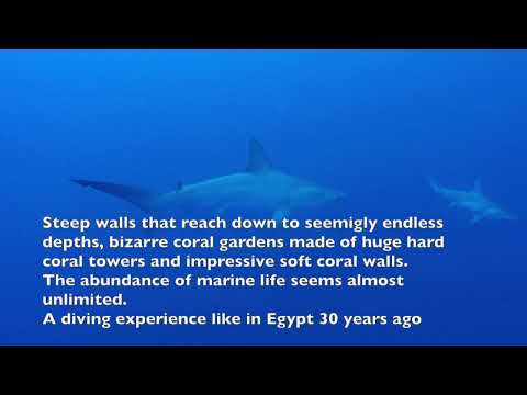Elba Reef with Royal Evolution - YouTube