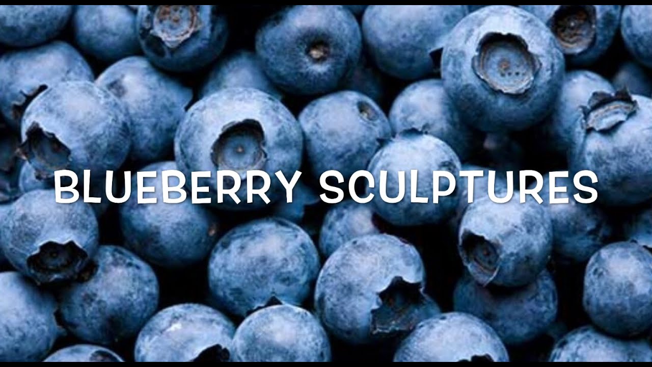 Science DIY: Blueberry Sculptures - YouTube
