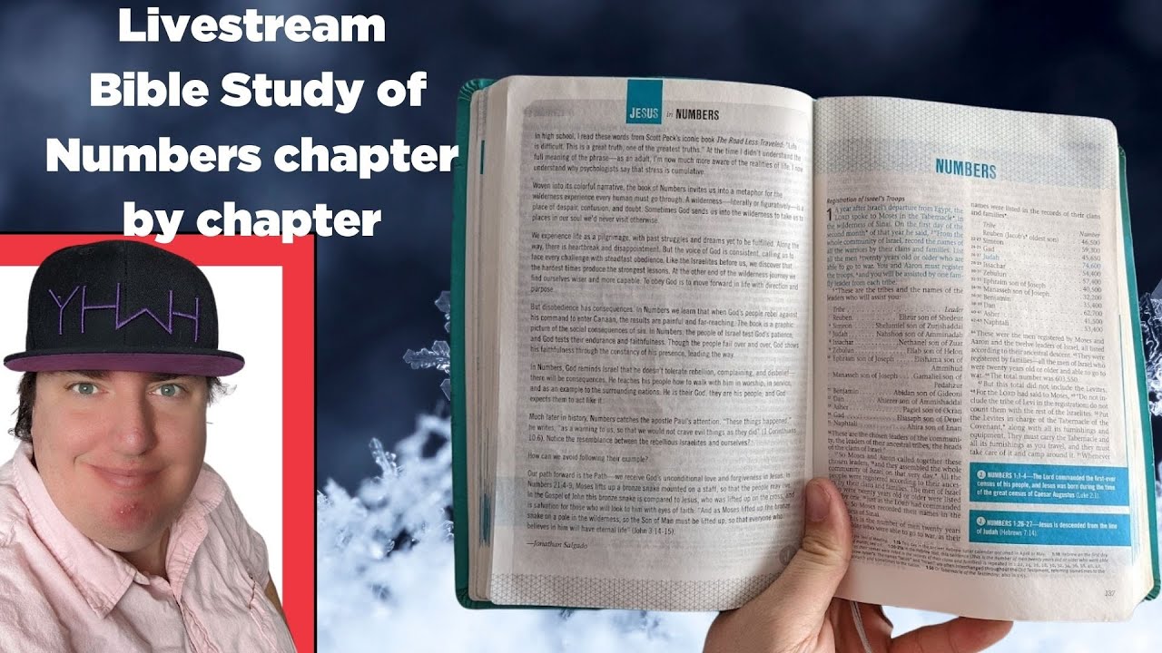 Numbers chapter 20 Moses strikes the rock and Edom refuses Israel, also ...
