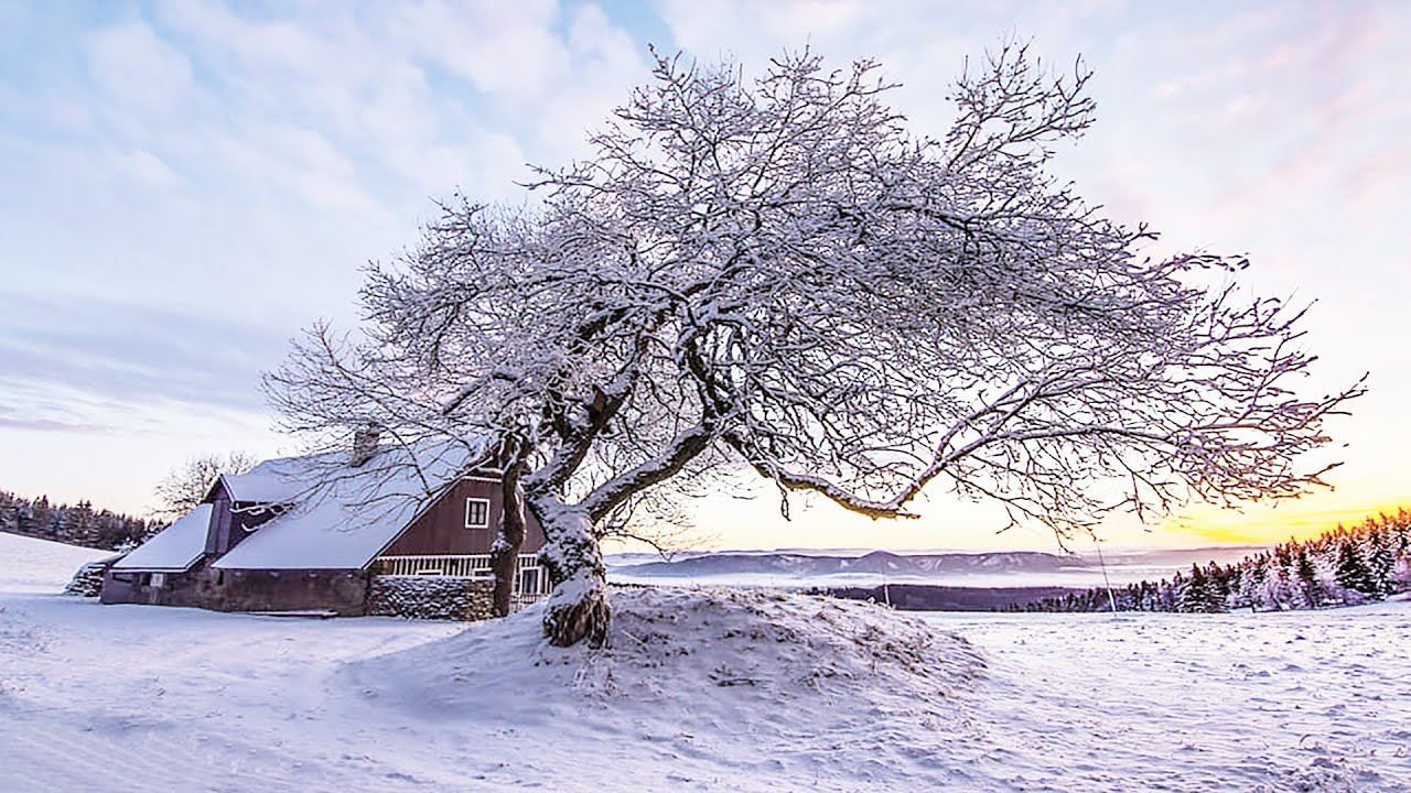 Beautiful Winter Snow Scene Relaxing Piano Music - Soothing Calming ...