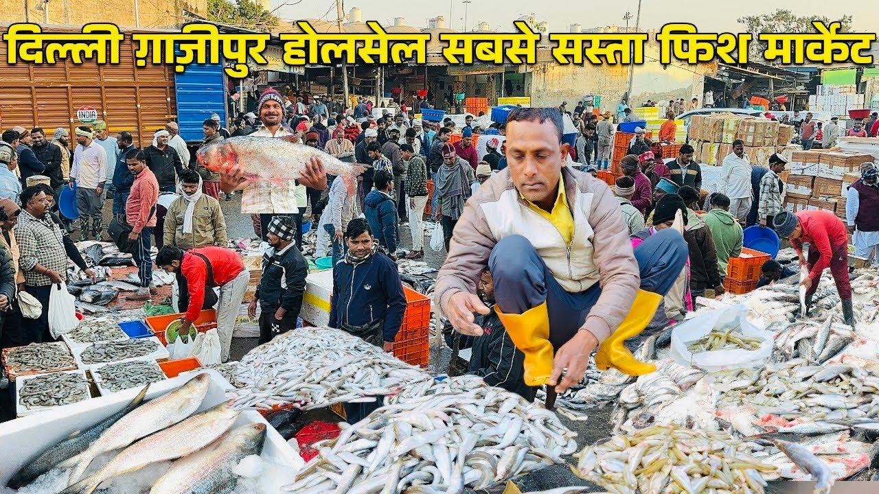 Ghazipur Fish Mandi Delhi Today Price 2024 ghazipur machli mandi ...