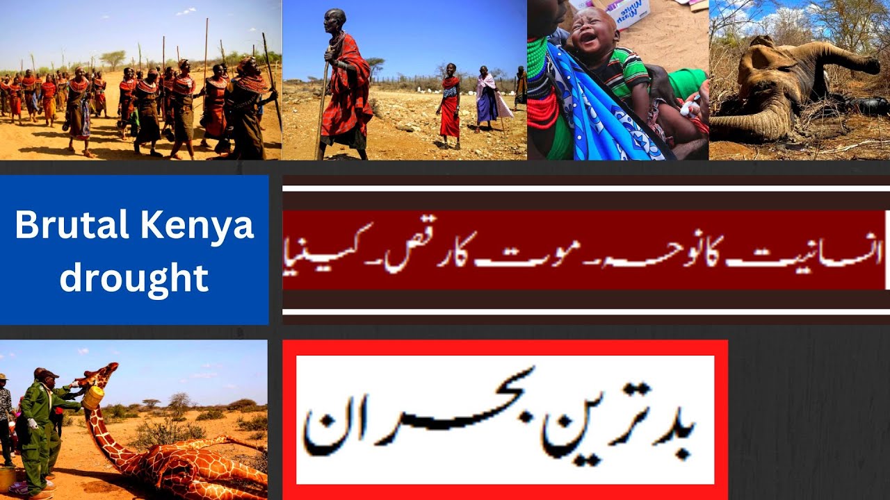 Deadly drought in Kenya | millions people are facing destruction | Fact Dropper - YouTube