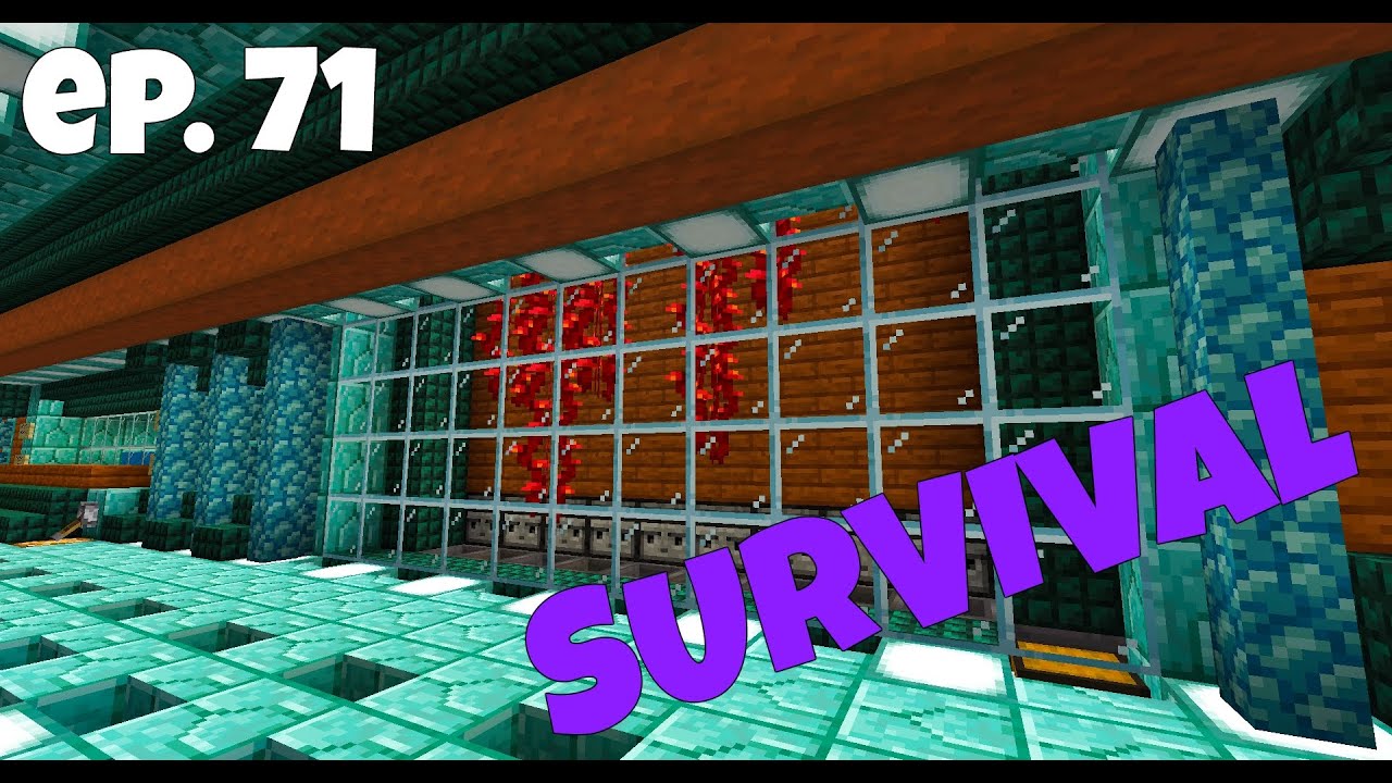FARM DI WEEPING VINES - Minecraft ITA - Survival 1.16 #71 - YouTube