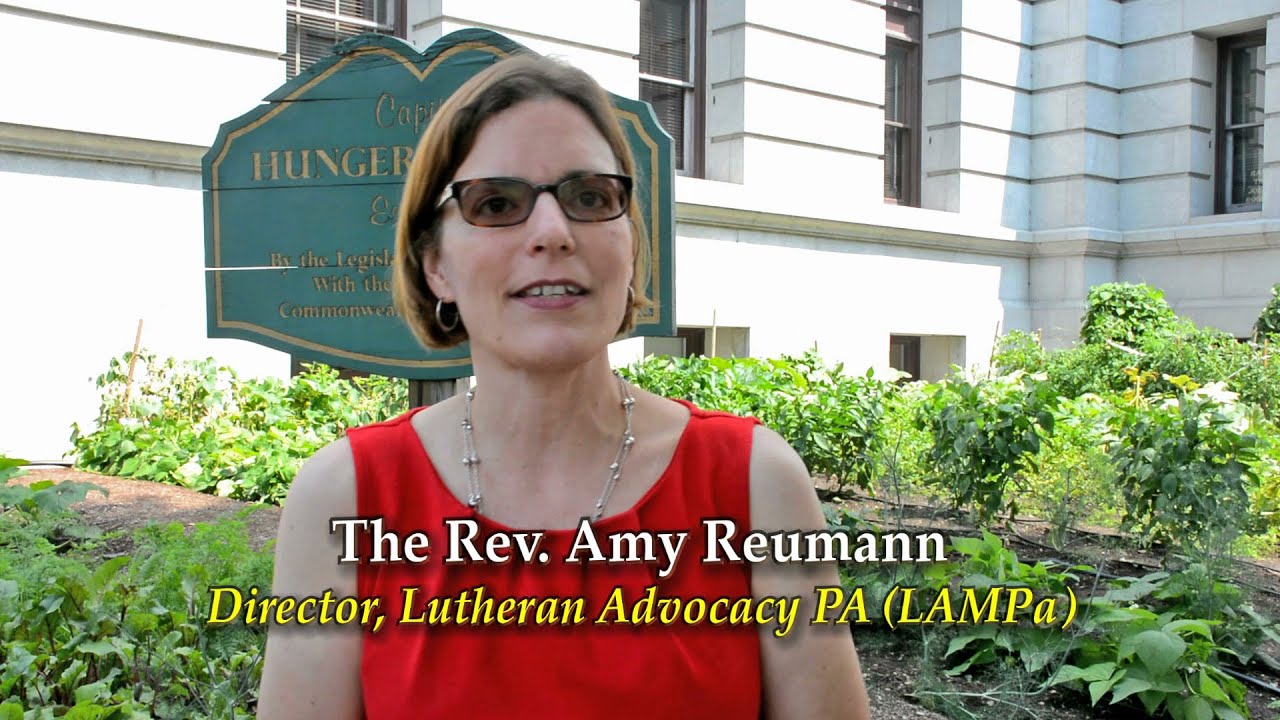 Amy Reumann on Advocacy - August 2015 - YouTube